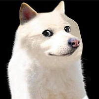 lesdias fan's Porn Gifs | RedGIFs