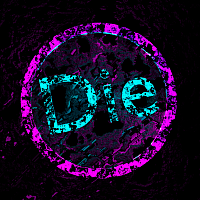 DieScope's Porn Gifs | RedGIFs