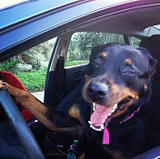 Beretha's Porn Gifs | RedGIFs